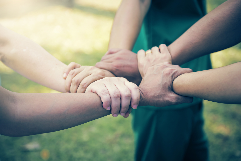 Who We Work With | Network Open